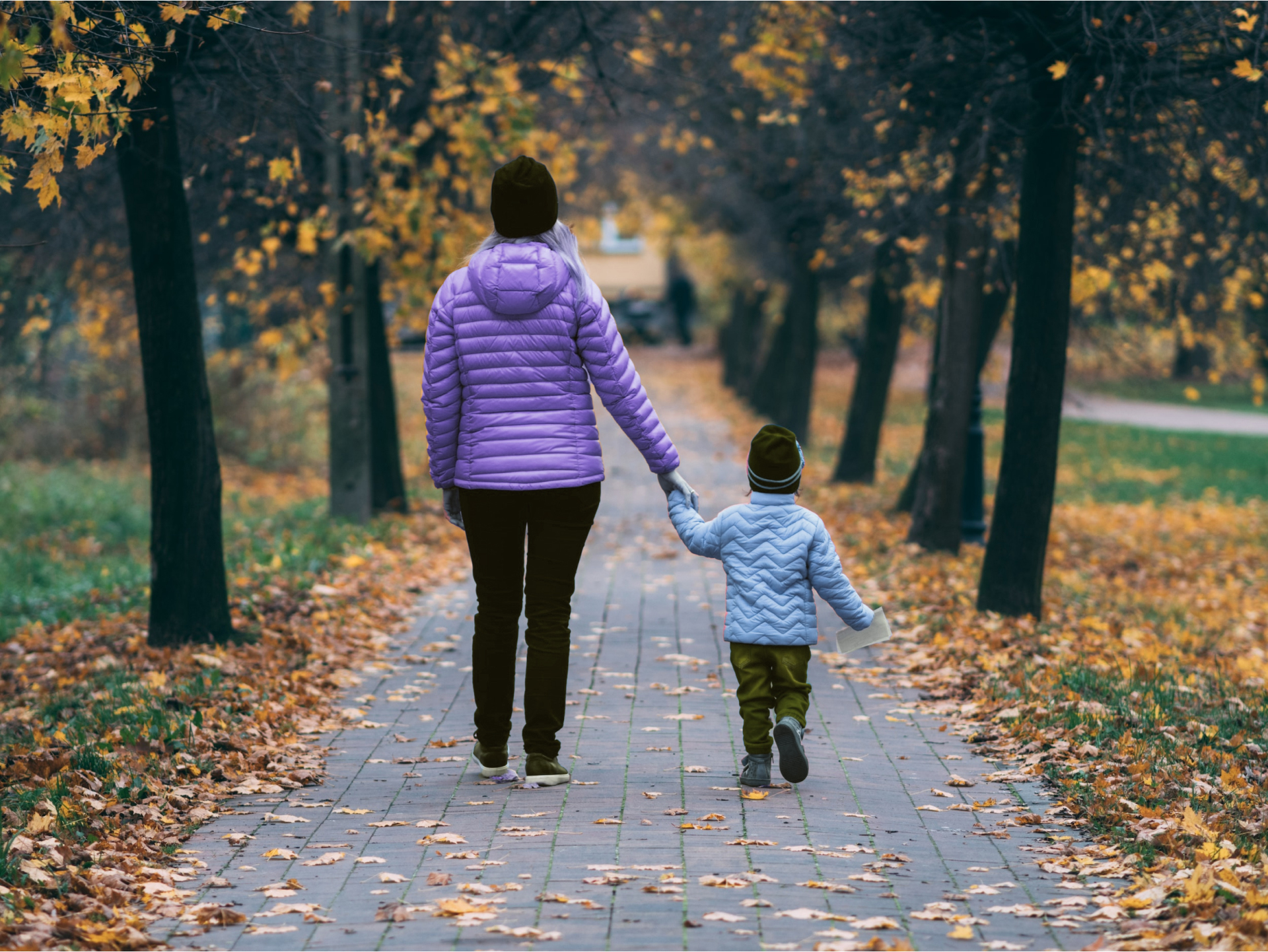 Telling and talking - Donor Conception Network