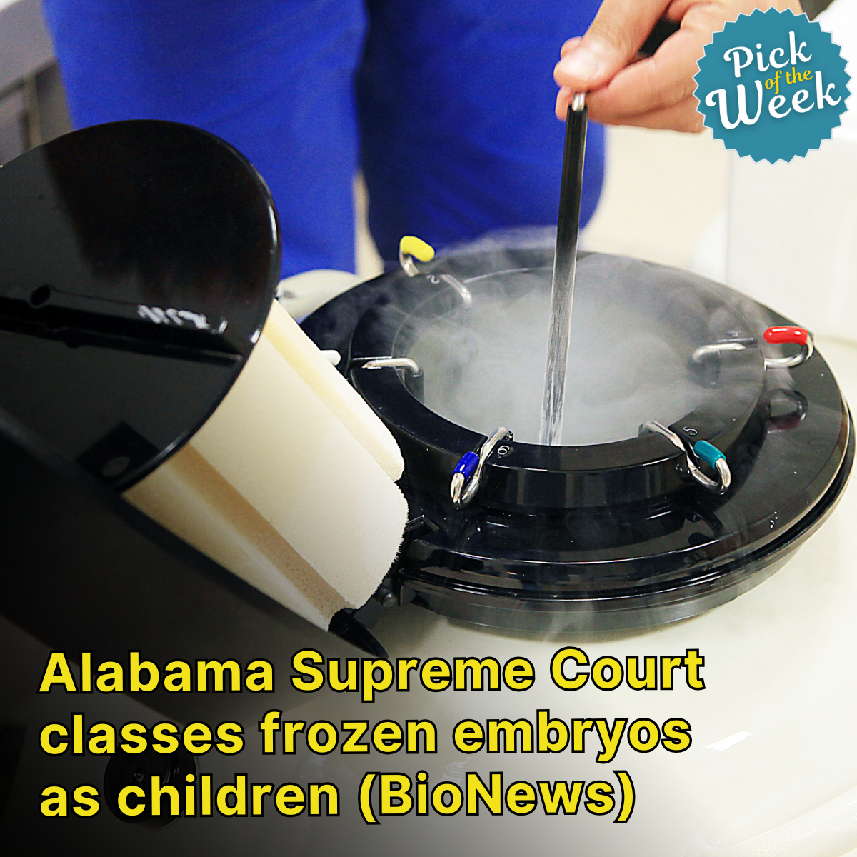 Alabama Supreme Court classes frozen embryos as children (BioNews ...